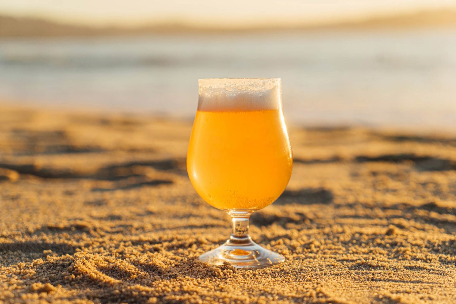 Cape Cod Craft Breweries and Beer Tours - Leighton Rentals